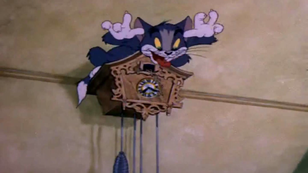 猫和老鼠,精彩搞笑片段,猫狗大战