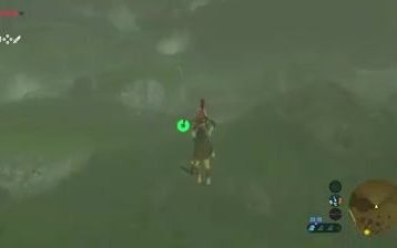 (塞尔达传说:荒野之息) 学别人玩鸡起飞!