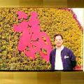 蔺化林 