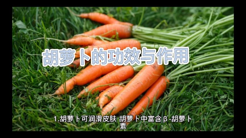 胡萝卜的作用与功效