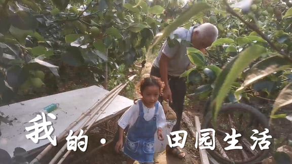 都是青皮梨子 特别脆 皮薄汁多
