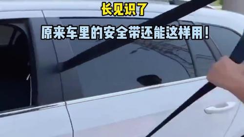 长见识了,原来车里的安全带还能这样用!