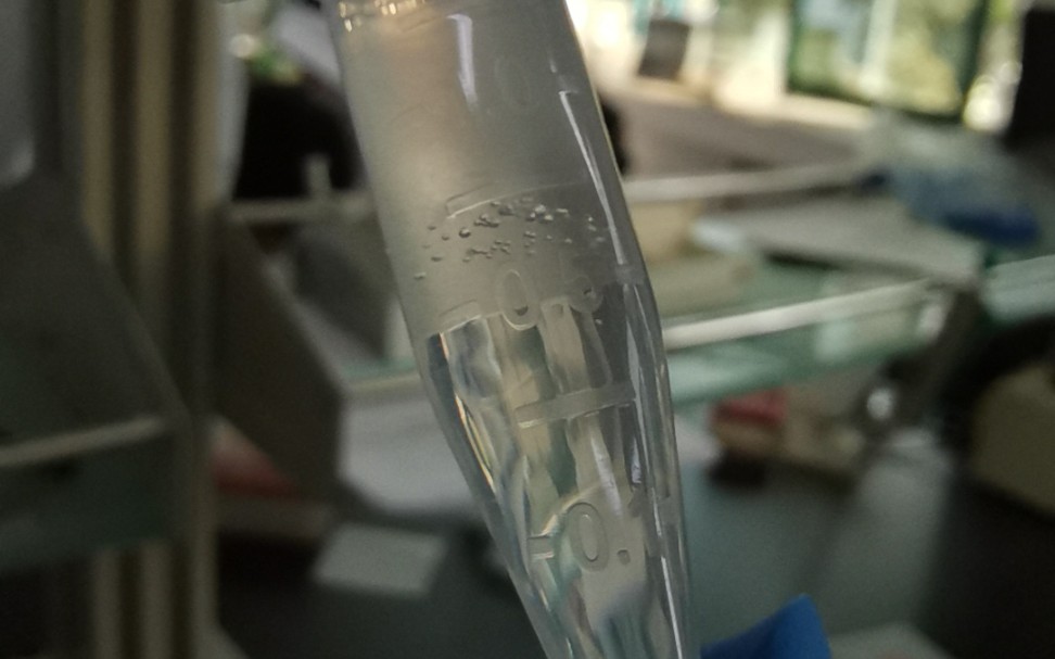 【华侨大学】基因组DNA的提取与体外扩增目的基因(1)-生物工程专业...