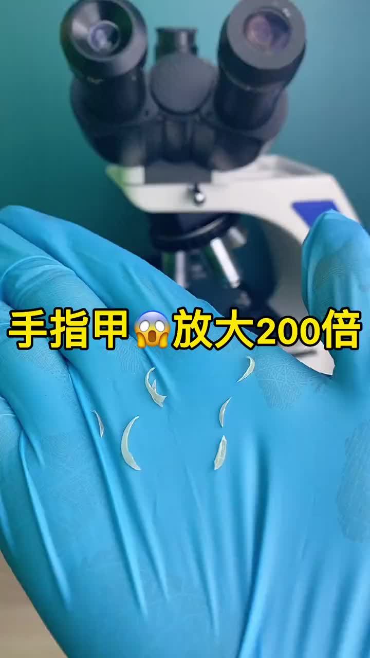 显微镜下的世界好快给孩子看看