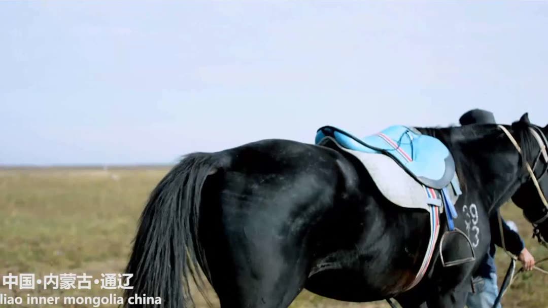 来看看内蒙古民间那达慕