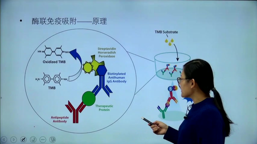【生物竞赛】生物信息学