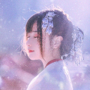 只爱吃素菜 