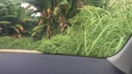 科目一科目二间隔科目三 换挡倒车入库出库技巧口诀