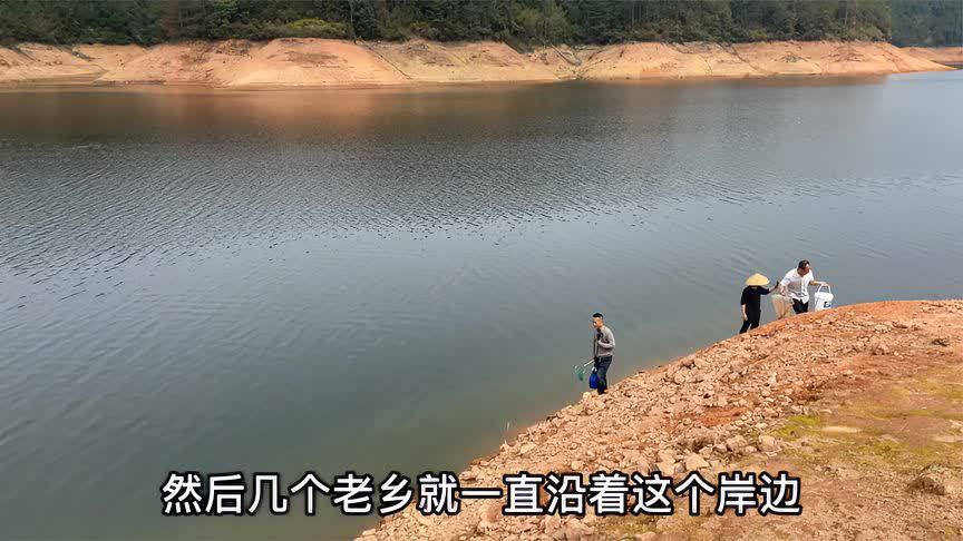 发现在水库的真人真事,水面出现很多死鱼,村民都来捡漏