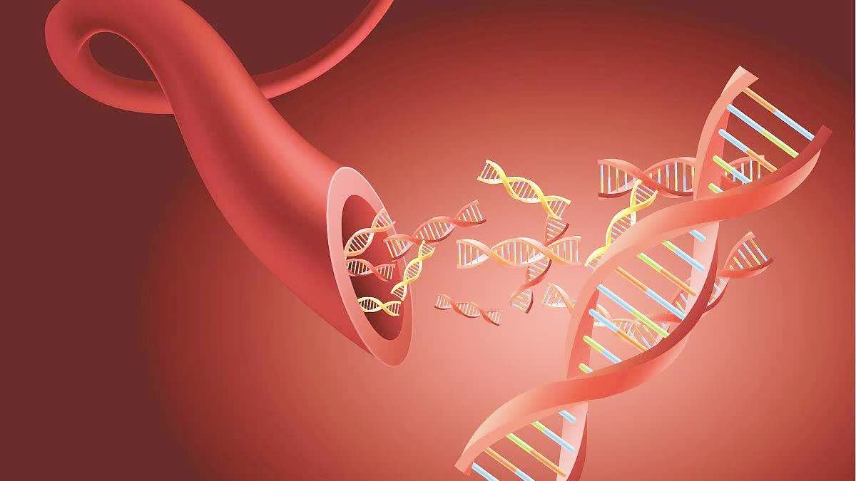 想要长寿养血管,喝1物 疏通全身血管,供血足,远离脑梗!