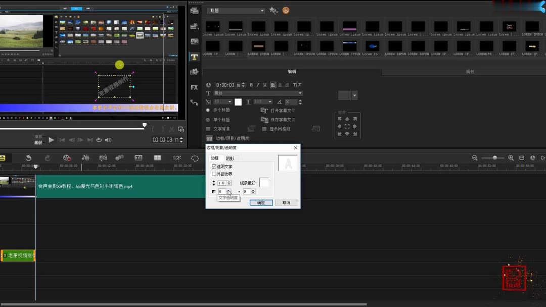 会声会影X10教程25: 给视频添加水印的两种方法