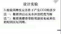 人教版高中生物(必修一)——第五章 第三节 细胞呼吸的原理和应用(...