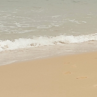 物理状元阁 