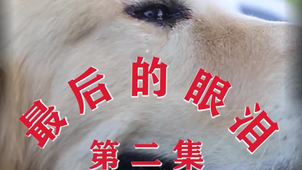 不管有多难有多苦千里迢迢只为见到你