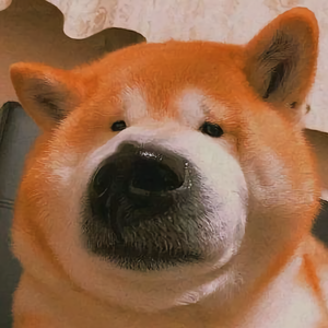 啊华带你看世界 