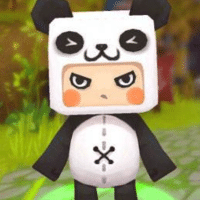 天天村长 