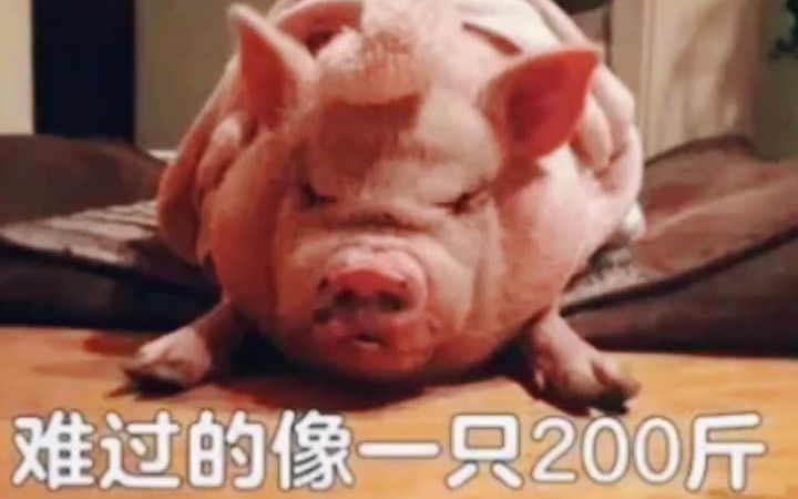 分享搬家生活5-国际日式搬家-尚旭搬家—励志做好搬家服务-,希望大家...