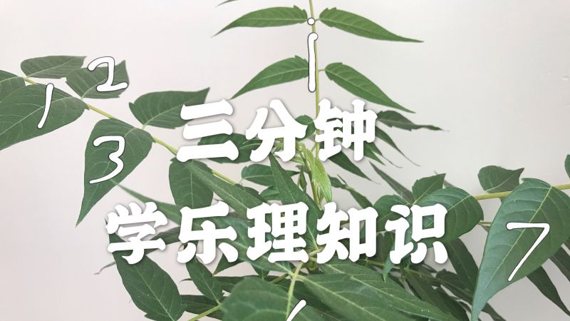 你了解吗?这些经常看到的记号