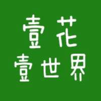 壹花壹世界