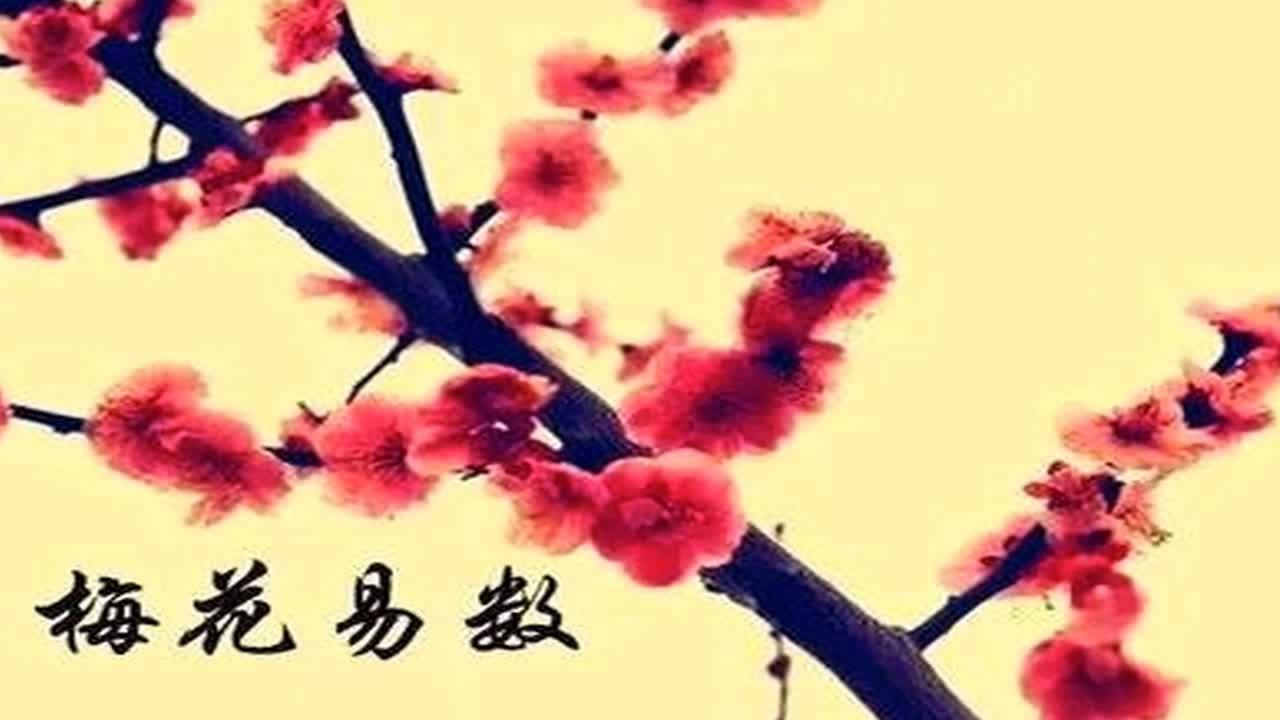 仙扑门:梅花易数的思维框架是什么?