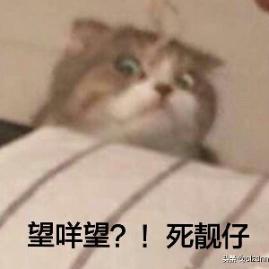 夭初墨 
