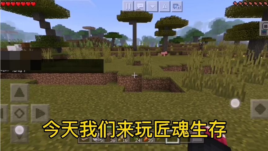 我的世界匠魂生存:真是一个美好的一天