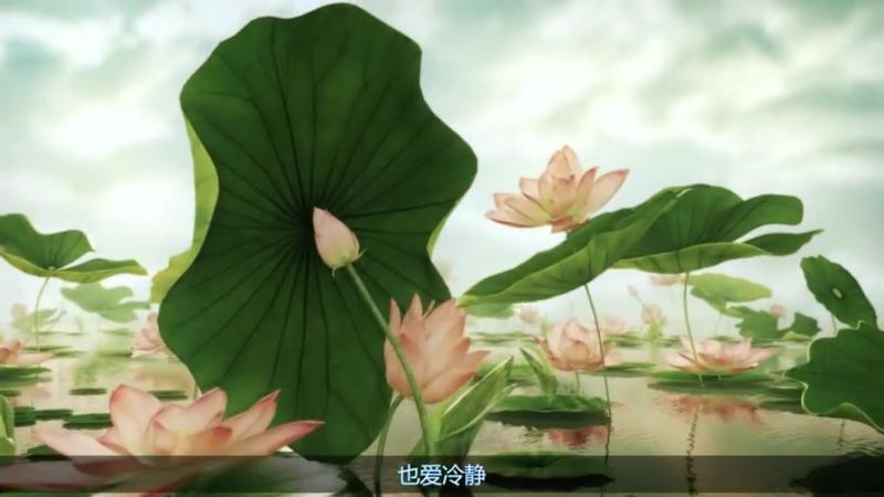 《荷塘月色》朗诵 节选 画面精美,声音清甜