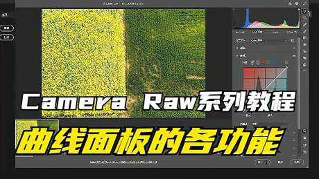 Camera Raw系列教程,曲线面板的各功能,使用曲线面板的方法