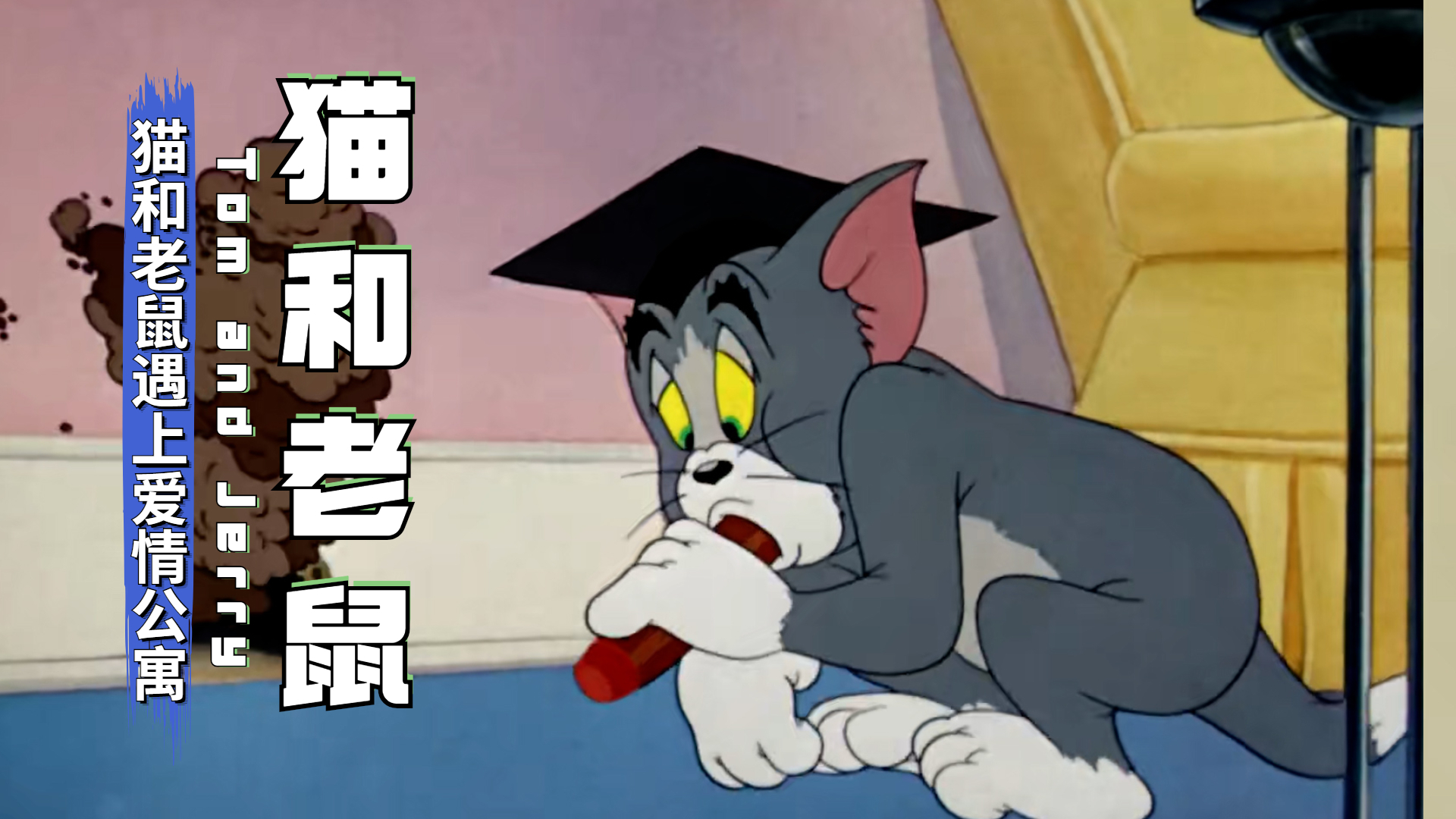 猫和老鼠:当汤姆当起老师时,会发生什么有趣的事