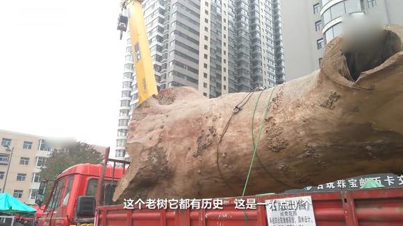 稀奇!古玩市场一商贩竟然开着卡车卖“巨龙”