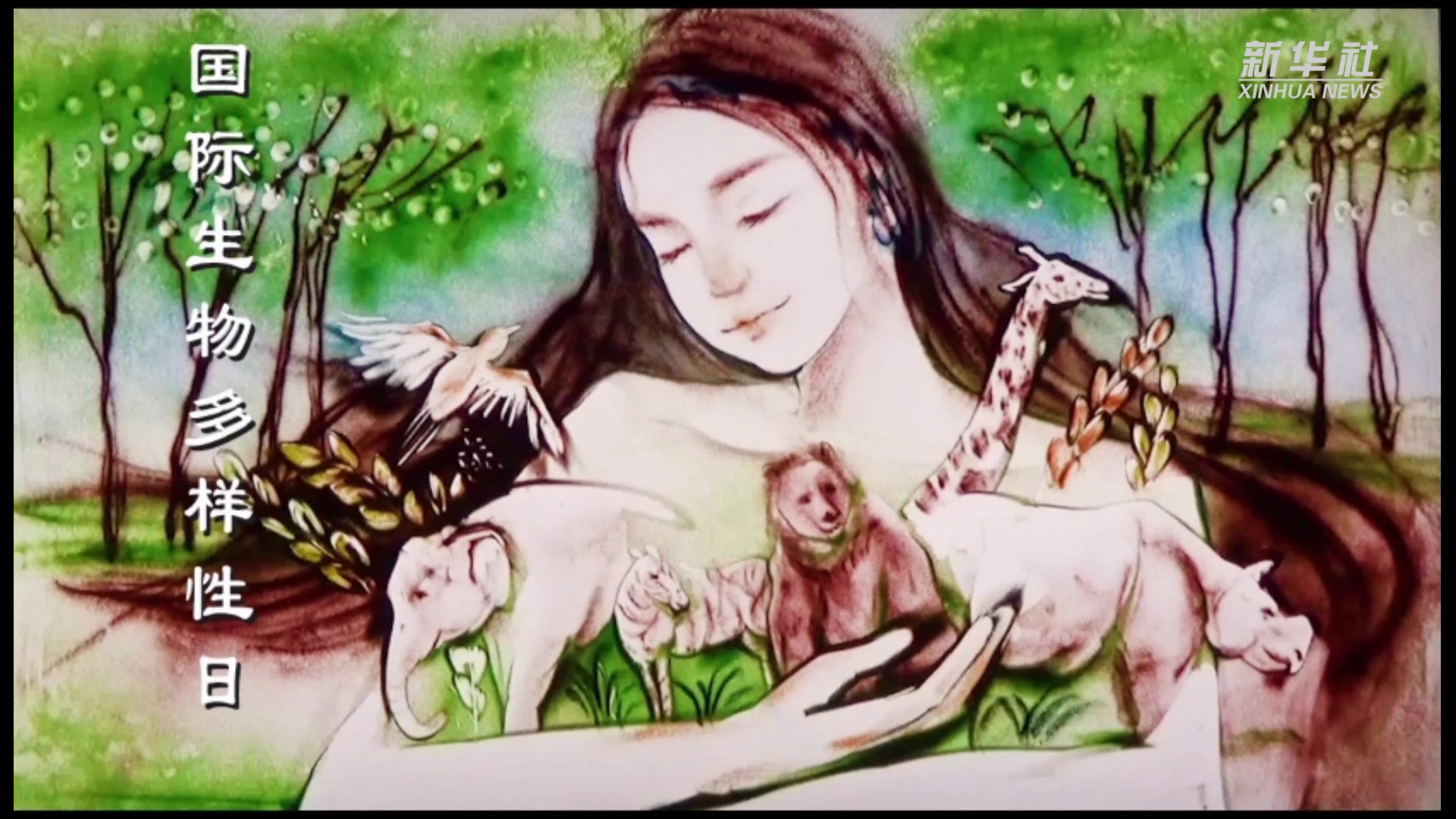 沙画短视频丨国际生物多样性日