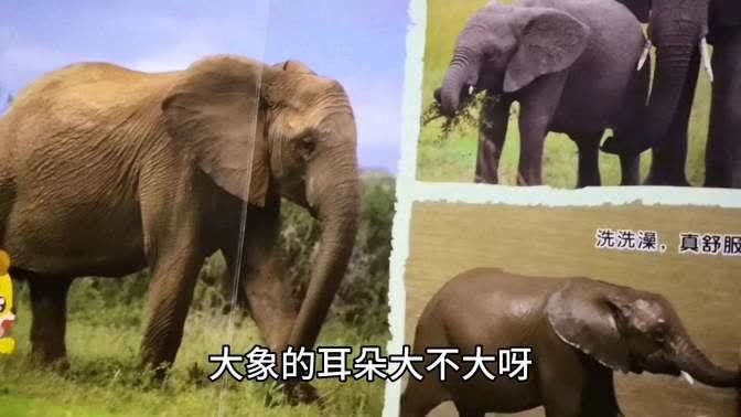 亲子共读 1岁多萌娃看绘本,用自己的理解认识小动物