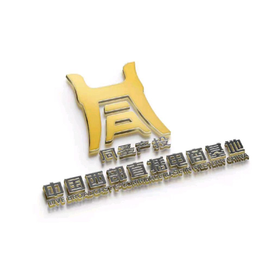 西部直播电商基地 