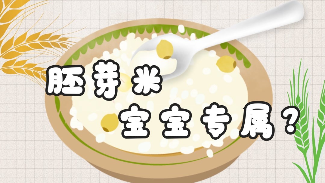 【TIMON】你知道胚芽米吗?胚芽米真的比普通大米更有营养吗?