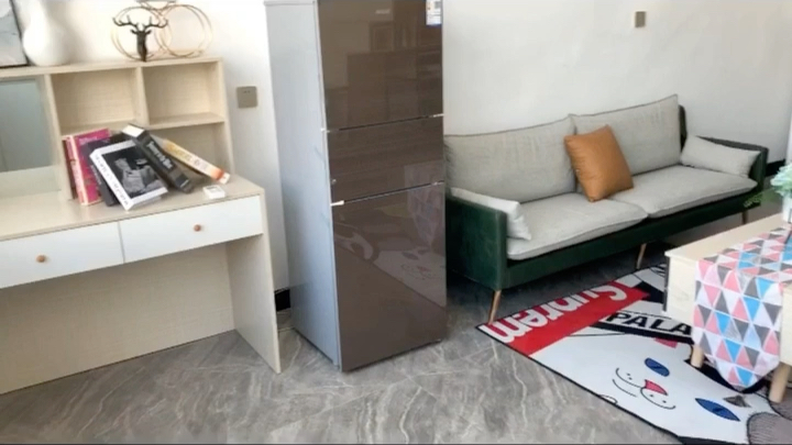 复式一房一厅c户型