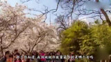 中国城市最多的2个省,车牌号都排到Z了