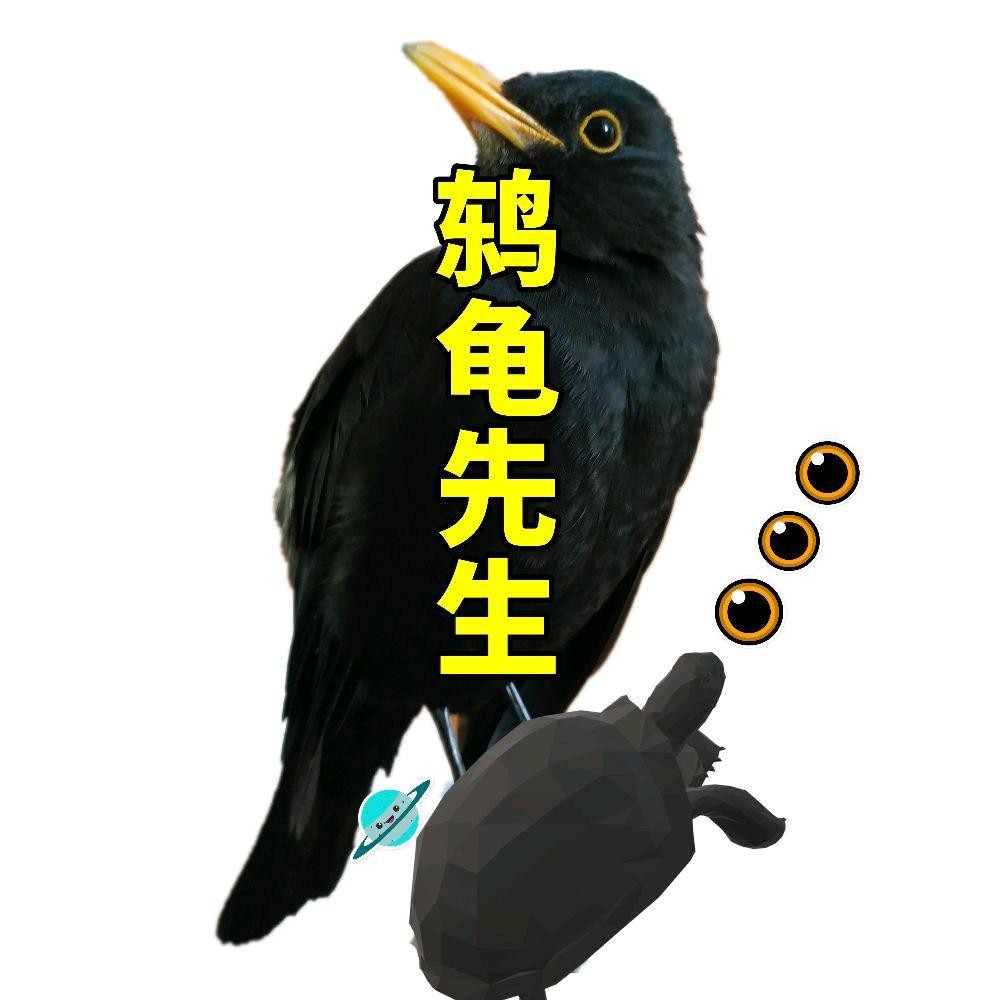 鸫龟先生 