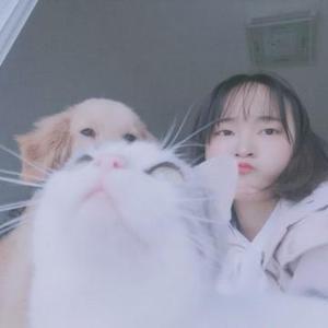 蓉橙小镇 