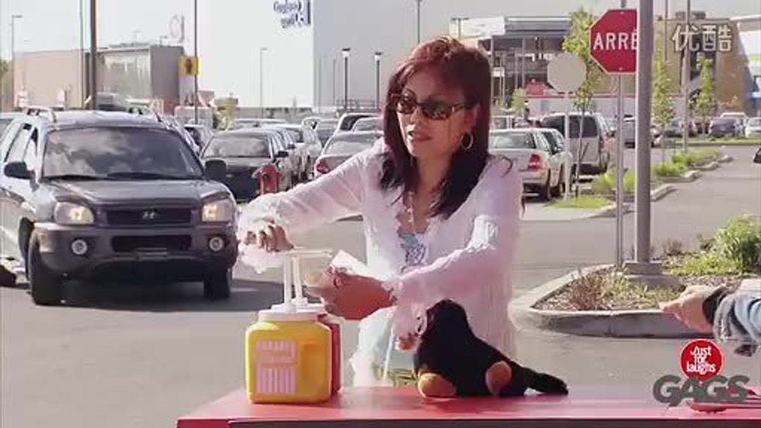 搞笑视频_搞笑图片_玩具狗狗大爆笑