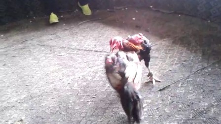 功夫点位钻骨腿