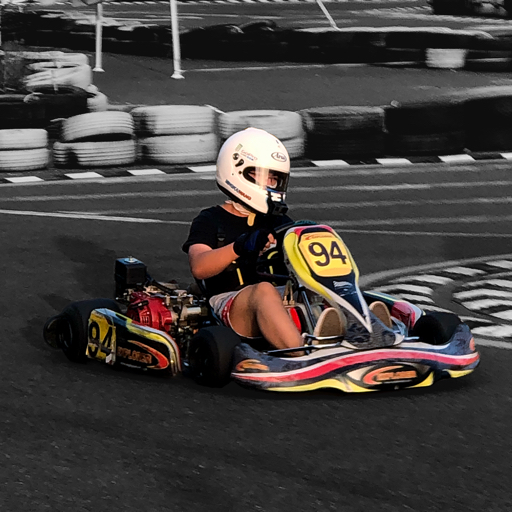 皇家飞翔的小鸟 