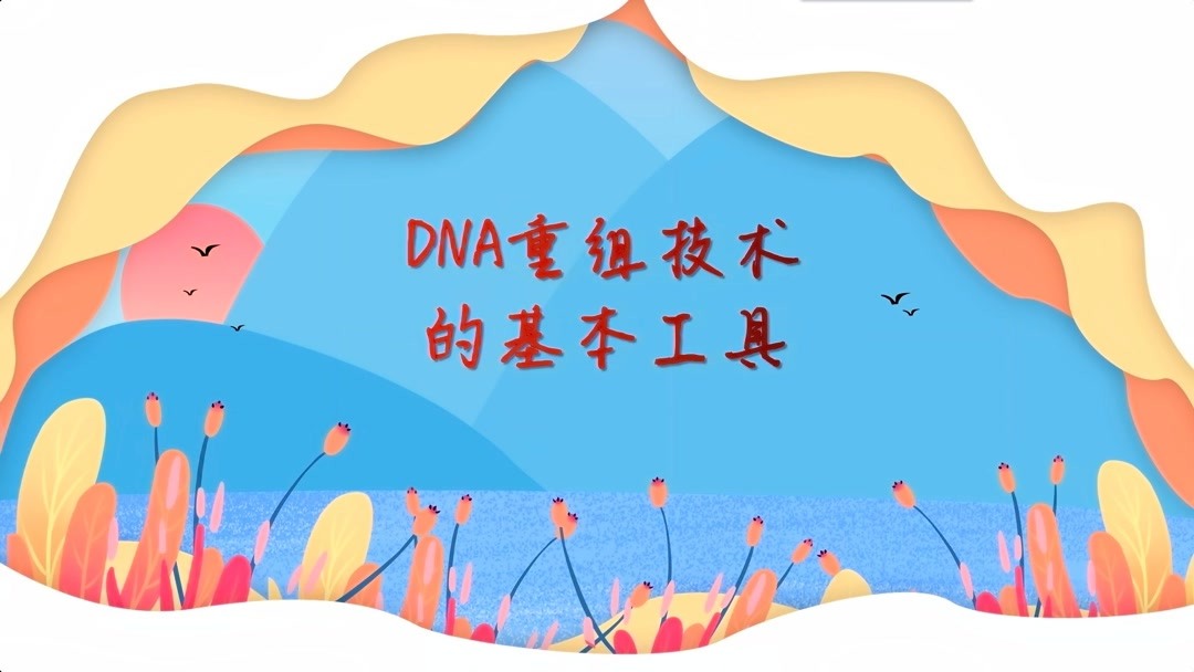 生物选修3——DNA重组技术的基本工具