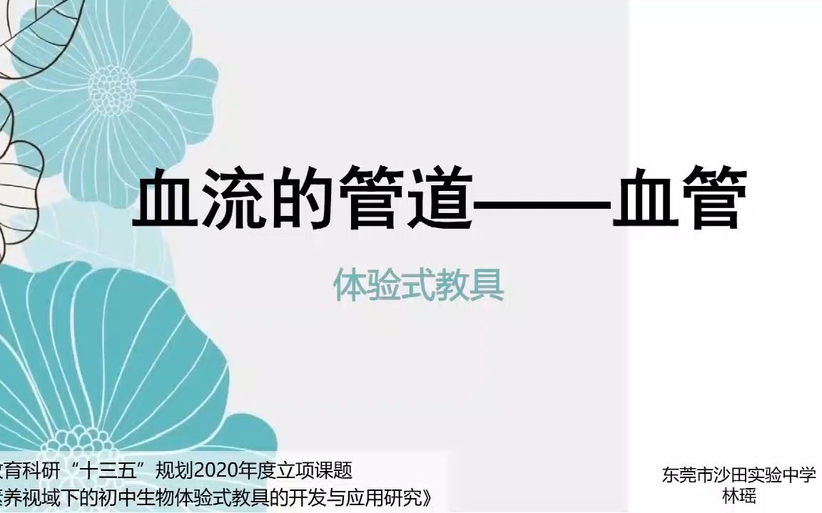 初中生物体验式教具——血流的管道血管