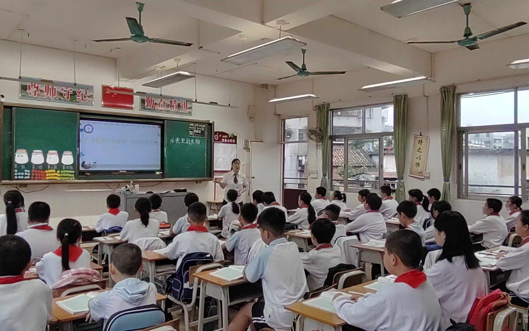 精品课例《表里的生物》