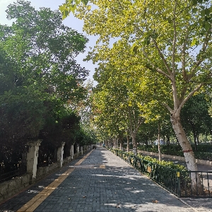 陈最阳宝 