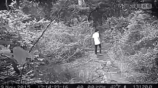 见鬼实录 最新被拍下的五大灵异事件,让你不得不相信