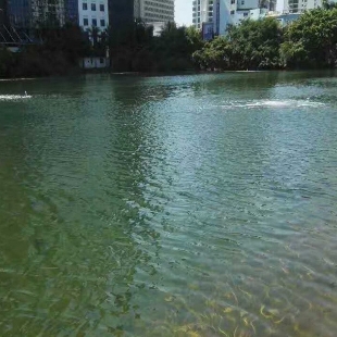 佳业佳境 