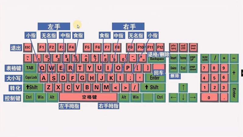 零基础快速学打字教程,键盘打字快速入门