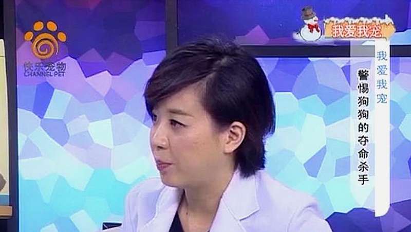 宠物拉血不一定是细小感染,也可能是肠炎引起的,请注意