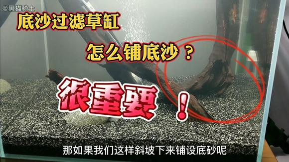 强大的底砂过滤系统草缸;底砂该怎么铺?看视频,很重要!